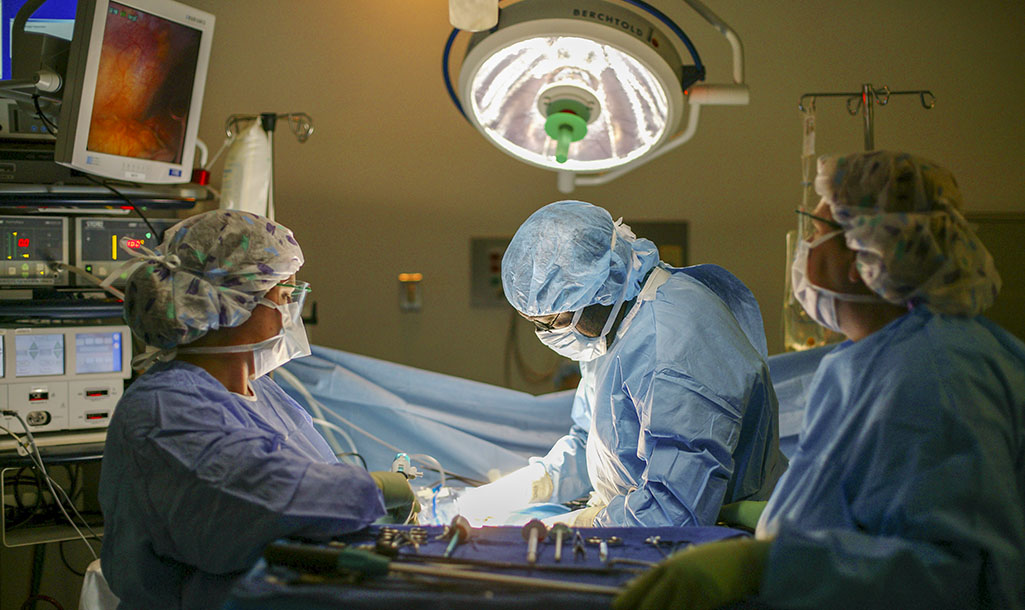 Why Give to the FHN Foundation - About Us - FHN